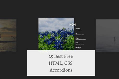 25 Best CSS Accordions Designs Css Types Of Websites Ions Design