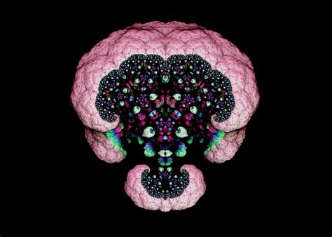 The Fractal Brain 36 4080x2900 Rdrugart