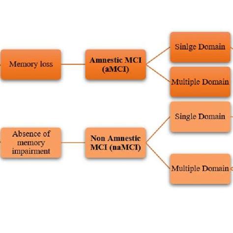 Schematic Representation Of MCI Subtypes Download Scientific Diagram