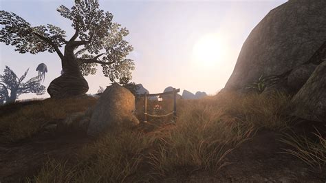 Some Screens From My Modded Setup Rmorrowind