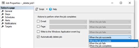 Script To Show Sql Server Agent Jobs That Automatically Delete Blog