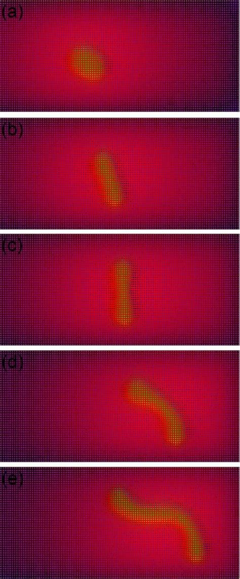 Figure S4 Deformation Of A Skyrmion Into A Skyrmion String During Download Scientific Diagram
