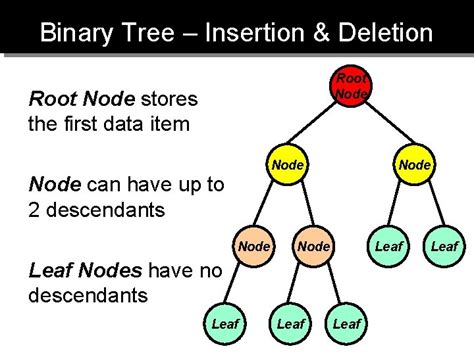 Binary Trees Binary Tree Structure Root Node Stores