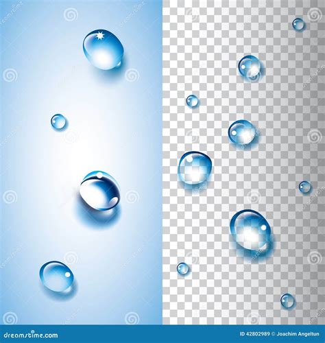 Water Drops Transparent Stock Image Illustration Of Rain 42802989