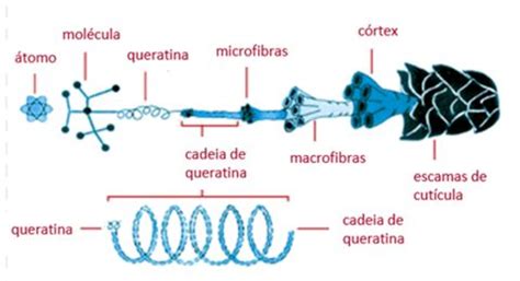 Benefícios Da Queratina Para Os Cabelos