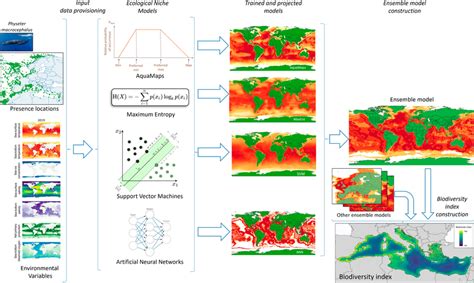General Schema Of Our Workflow Download Scientific Diagram