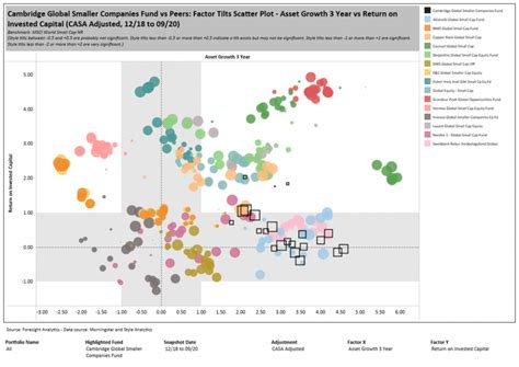 Strategic Review And Validation Of Investment Processes Foresight Analytics