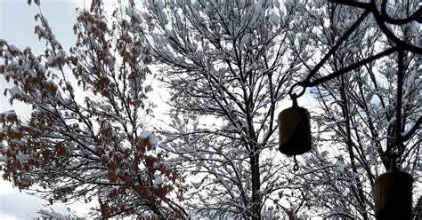 Oddball Observations Jack Is Back