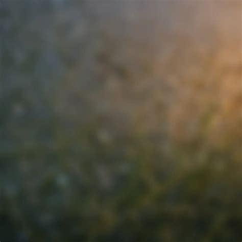 Exploring The Benefits Of Greenhouse Uv Plastic Film