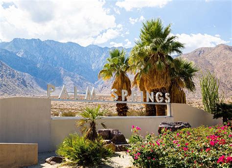 End Of Palm Springs Explained At Alice Pace Blog