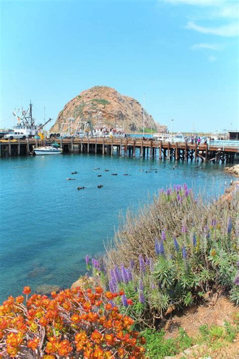 12 Magical Things To Do In Morro Bay California By A Local