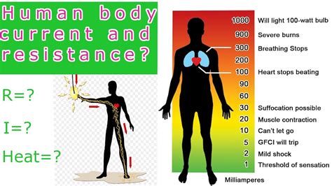 How To Measure Electric Current In Human Body At Charlotte Revell Blog