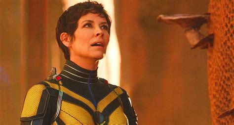 Pemeran Wasp Di Mcu Umumkan Pensiun Dari Akting Bagaimana Nasib Pemeran Wasp Di Mcu Umumkan Pensiun Dari Akting Bagaimana Nasib