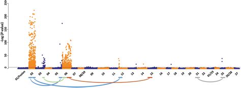 GWAS For Sex Determination A Total Of 46 502 SNP Were Used For Download Scientific Diagram