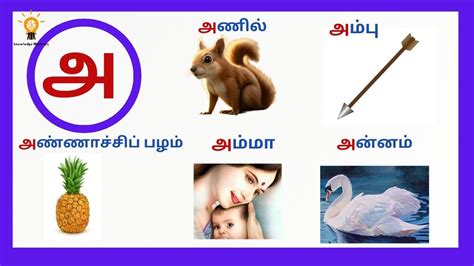 அ வரிசையில் தமிழ் சொற்கள் அ வரிசை சொற்கள் படம் உயிர் எழுத்துக்கள் அஆஇஈ அரிச்சுவடி Youtube