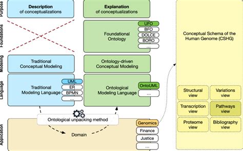 Schematic Representation Of Concepts Used In The Manuscript Specific Download Scientific