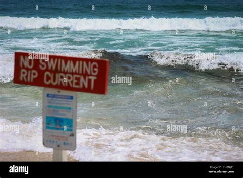 Riptide Wave