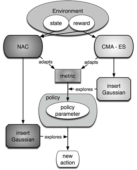 Conceptual Similarities And Differences Of Natural Policy Gradient Download Scientific Diagram