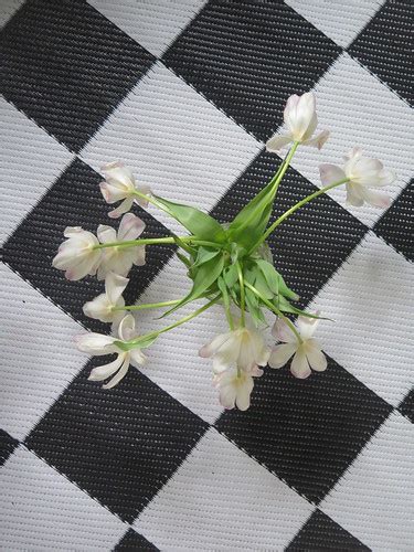 Ndff Docufest Flickr