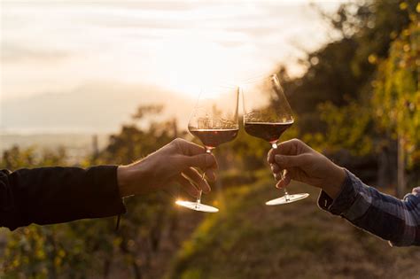 Two Hands Clinking Red Wine Glass In A Vineyard During Sunset Stock