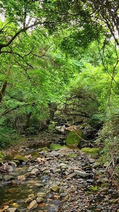 깊은산속 작은계곡 Youtube