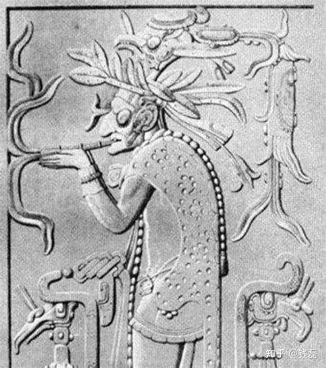 词源趣谈 Tabacco（烟草）的由来 知乎