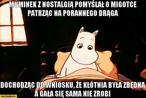 Muminki Memy Paczaizmpl Memy Polityczne śmieszne Obrazki Dowcipy