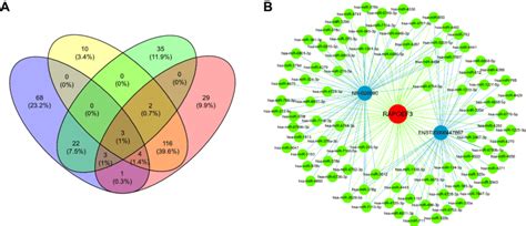 A Venn Graph Shows The Overlap Of Co Expressed Mrnas And Target Mrnas