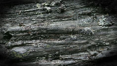 Shadertoy Agate Dragon Games