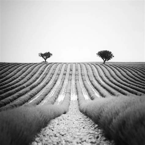 Gerald Berghammer Black And White Fine Art Photography Artwork Field