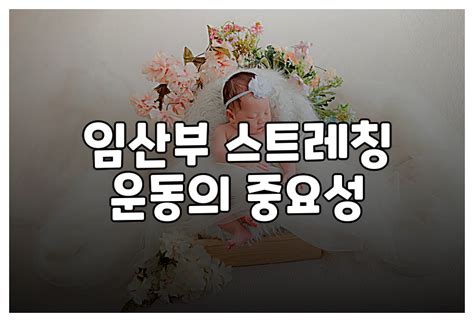 임산부를 위한 안전하고 효과적인 스트레칭 운동 가이드