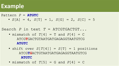 Exhaustive Search Algorithms