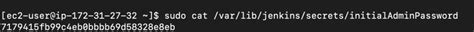 Install Jenkins On Aws Ec2 Instance The Nuclear Geeks