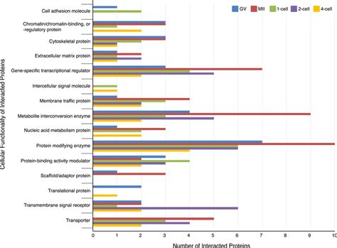 Upon Analyzing LC MS MS Data Extracted From Mouse Oocytes And Embryos Download Scientific