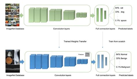 Yegor Gusakov On Linkedin Ai Transferlearning Ai Transferlearning