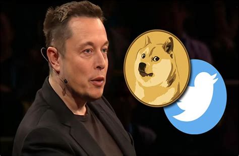 एलन मस्क ने फिर बदला ट्विटर का लोगो 9 गिरा डॉजकॉइन Elon Musk