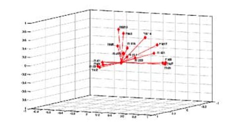 Variables Coordinates After The Varimax Rotation Download Scientific