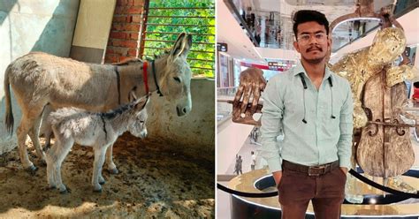 Farmer Give Up His Dream Job To Promote Donkey Milk Makes Rs 3 Lakh