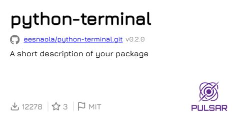 Python Terminal