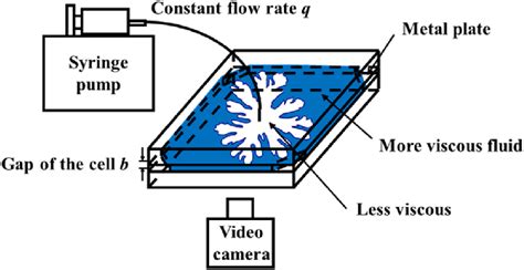 Apparatus Of The Vf Experiment Download Scientific Diagram