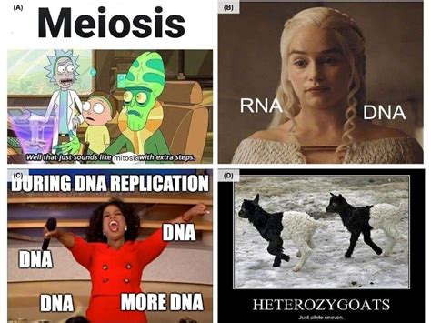 Genetics Memes Guy Posts A New Years Meme About Unaltered Dna And Gets