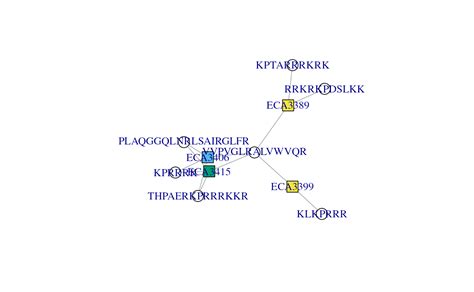 Understanding Protein Groups With Adjacency Matrices • Psmatch
