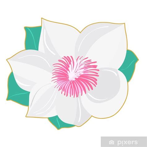 Sticker Magnolia Vector Pixersuk