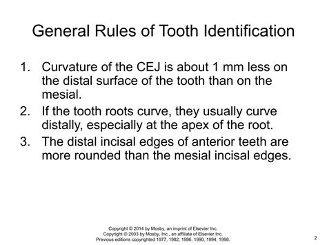 Oral Anatomy Tooth Identification Pptx