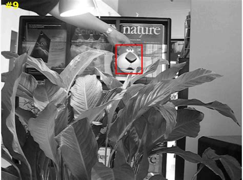 Github Nayeem8527visual Object Tracking Using Multi Target Regression Visual Object Tracking