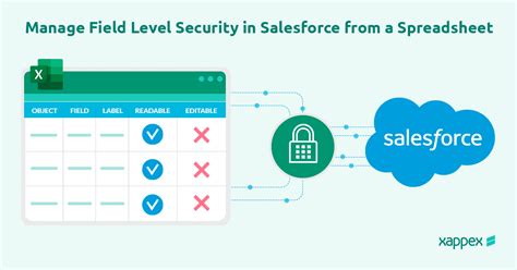 Managing Field Level Security In Salesforce Xappex