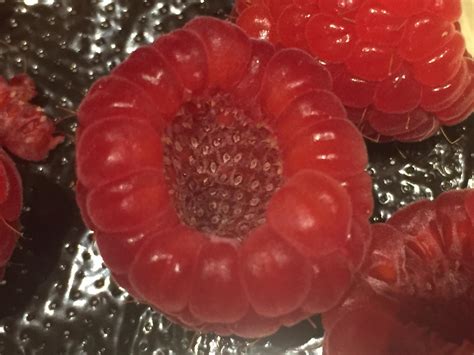 Inside Of A Raspberry Looks Like Outside Of Strawberry R Mildlyinteresting