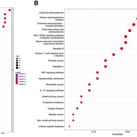 Gene Ontology Go And Kyoto Encyclopedia Of Genes And Genomes Kegg