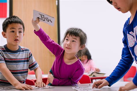 Loving Tree Academy California Bay Area Chinese Learning After School Program