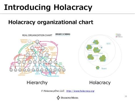 Holacratic Organizational Structure